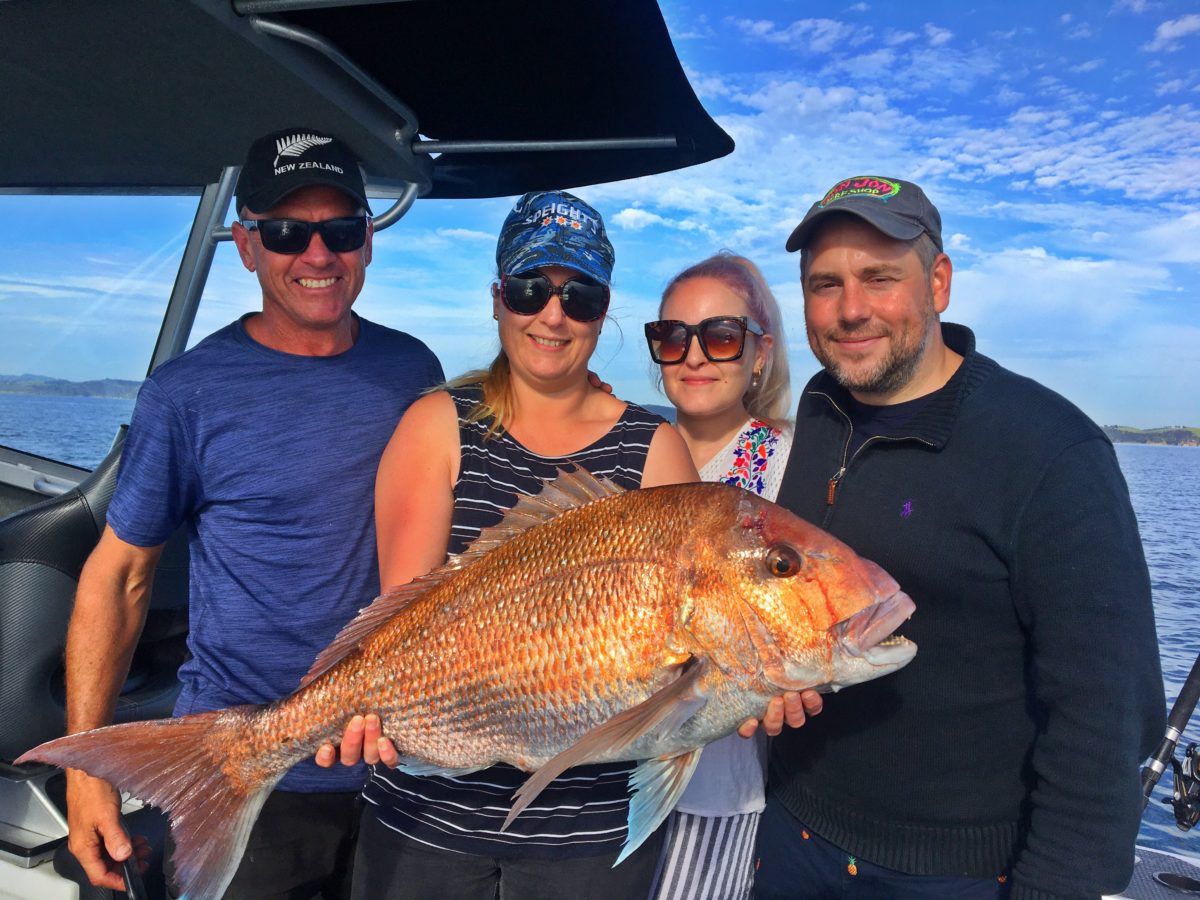 Family Fish and Play - Big Fish Bay of Islands