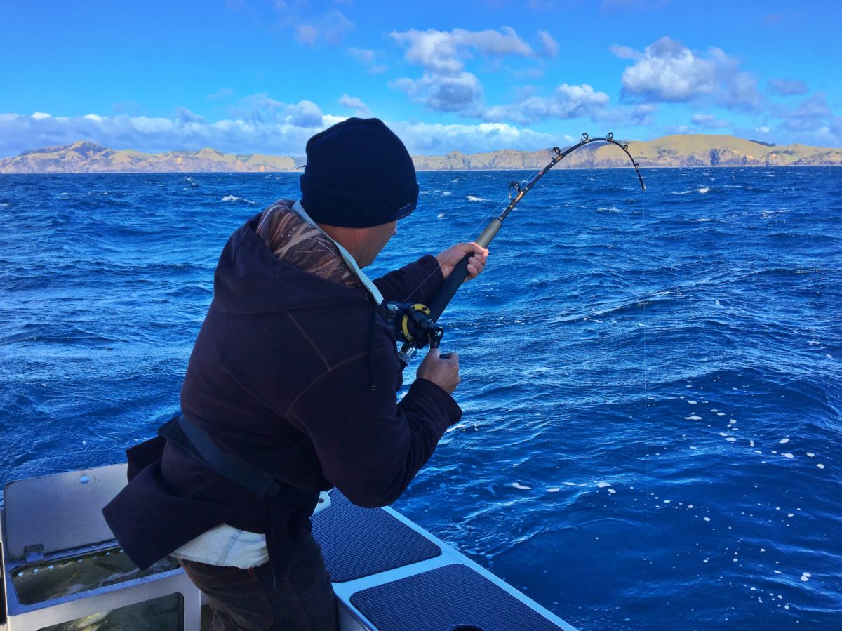 Fishing Charters Paihia, Russell, Bay of Islands - New Zealand