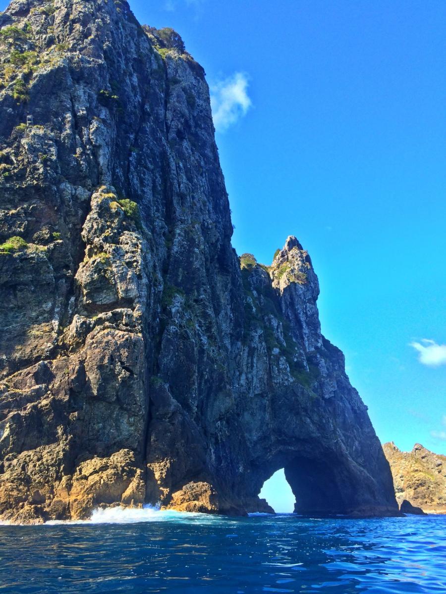 Big Fish Bay of Islands Fishing Gallery - Big Fish From our Charters