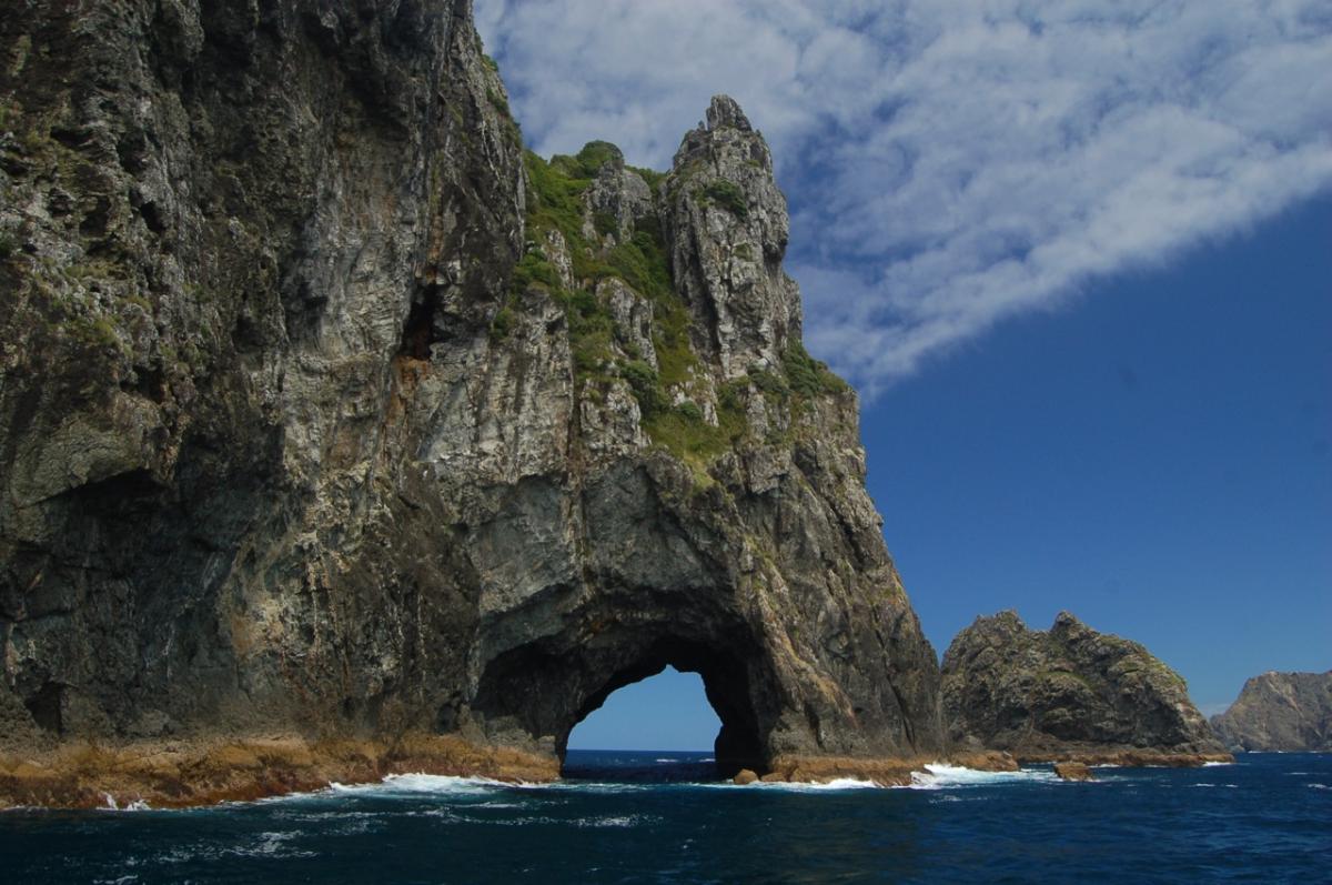 Big Fish Bay of Islands Fishing Gallery - Big Fish From our Charters