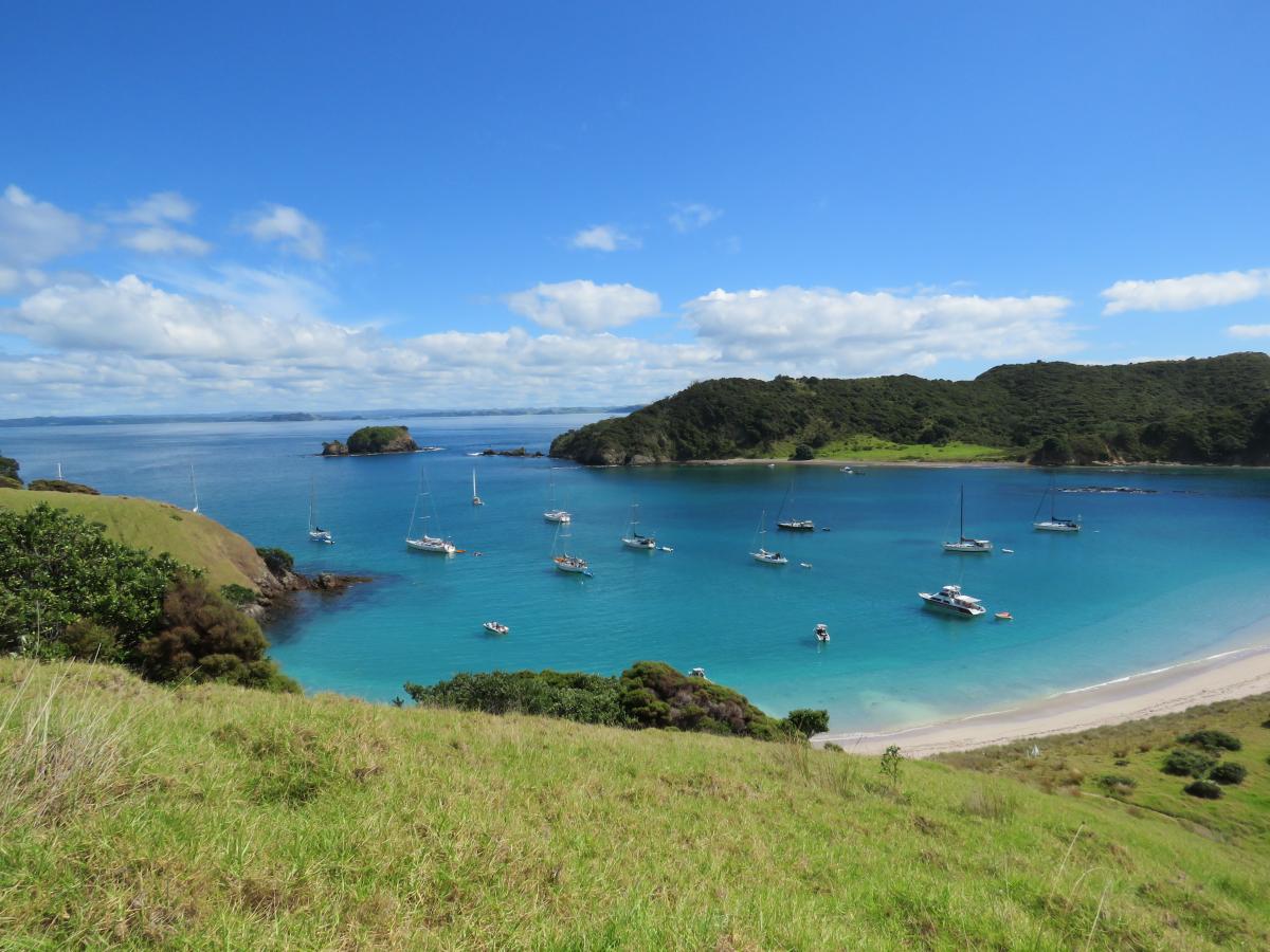 Big Fish Bay of Islands Fishing Gallery - Big Fish From our Charters